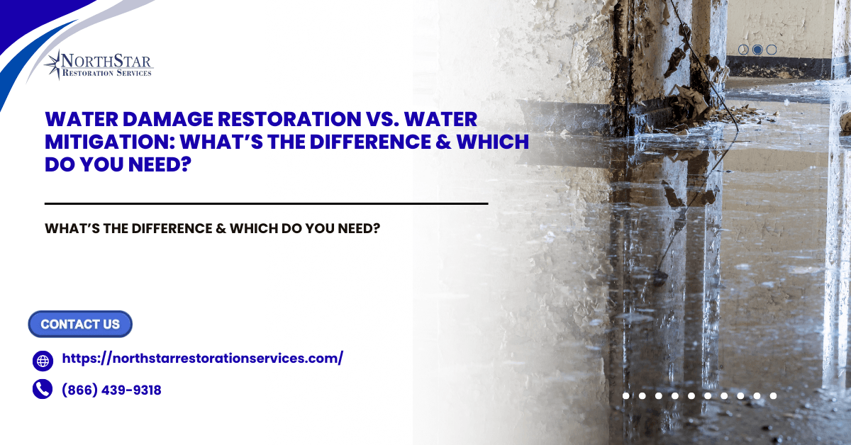 Water Damage Restoration vs. Water Mitigation — Expert Guide 2025